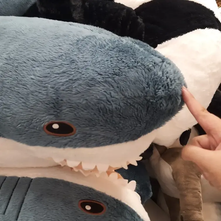 Boop the shark | Fandom