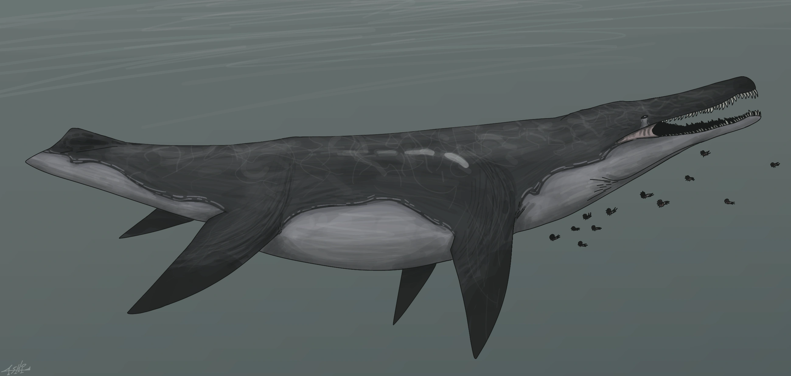 sachicasaurus vitae drawing | Fandom