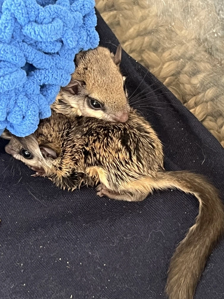 PLEASE READ!!! | Fandom