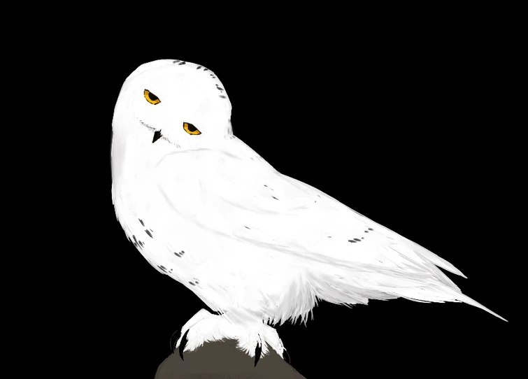 Discuss Everything About Prodigy Game Wiki | Fandom