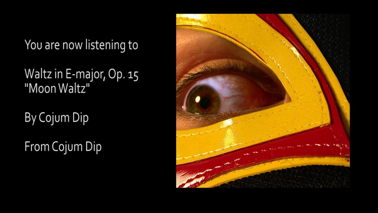 Waltz in E-major, Op. 15 "Moon Waltz" - Cojum Dip | Fandom