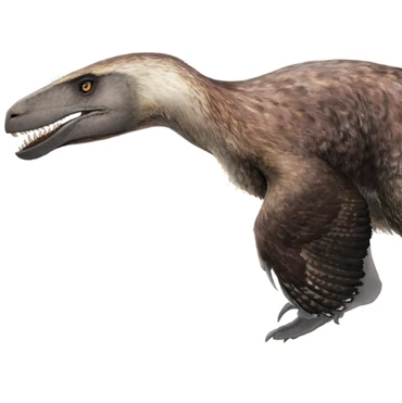 Discuss Everything About Dinopedia | Fandom