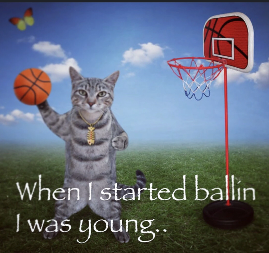 daily meme #390: balling | Fandom