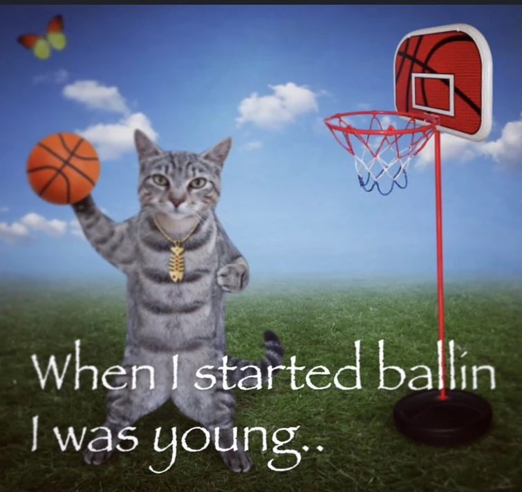 daily meme #390: balling | Fandom