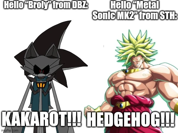 "The Sonic version of Broly" | Fandom