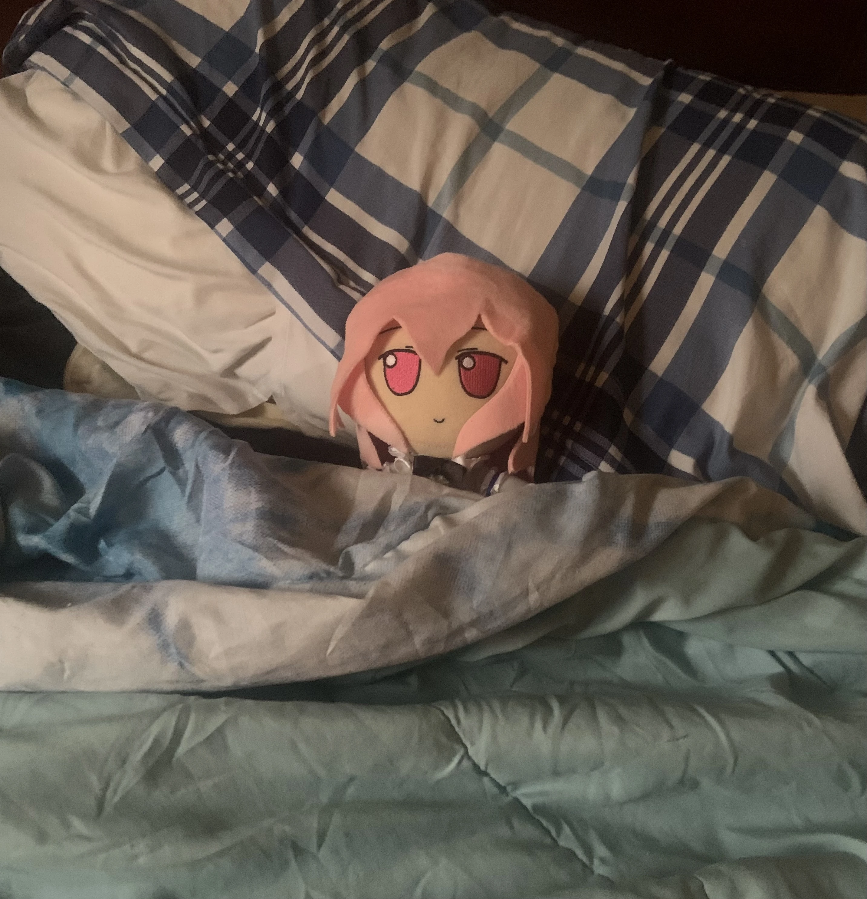 Noli isn’t delayed | Fandom