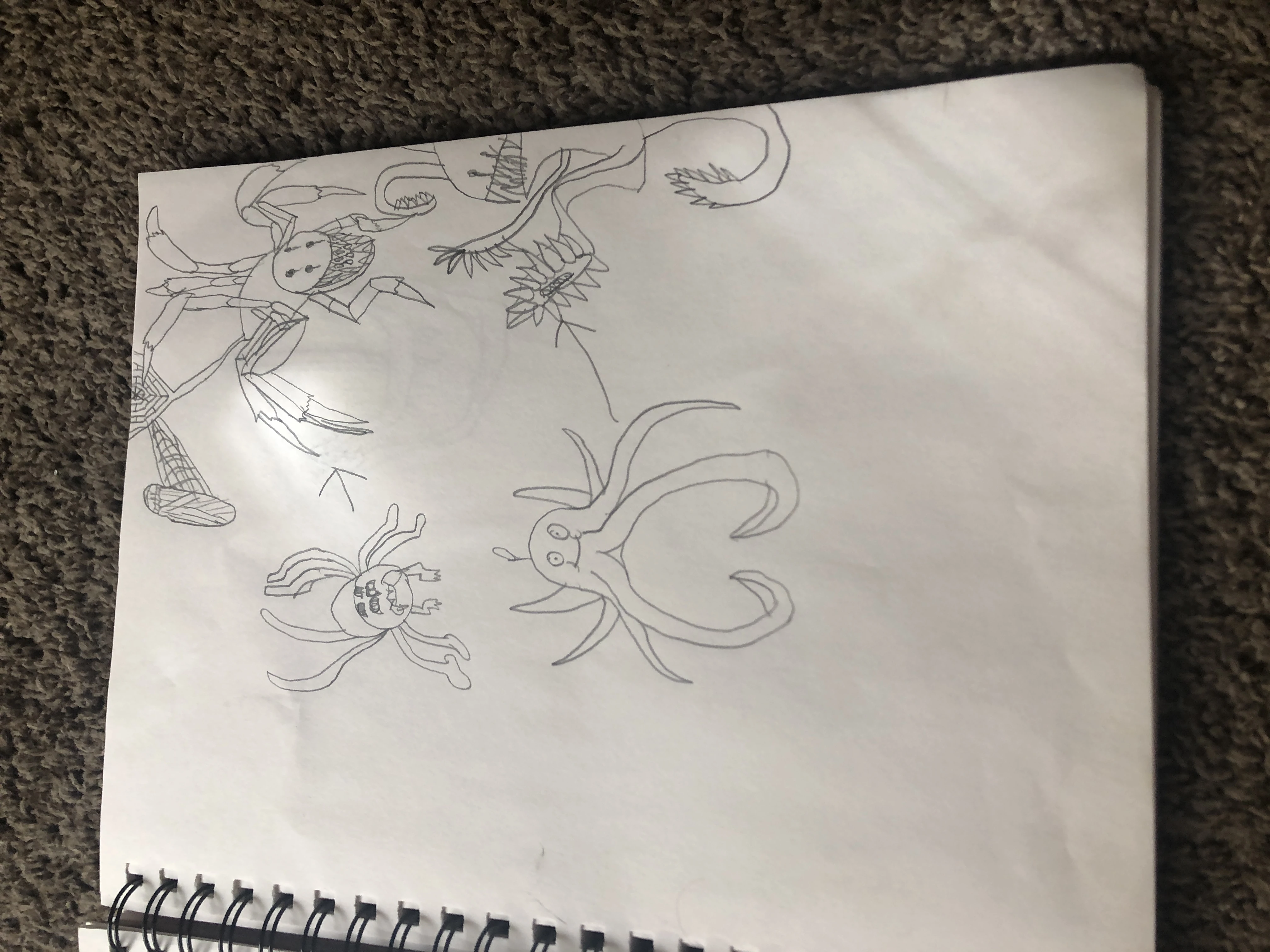Meet my oc | Fandom