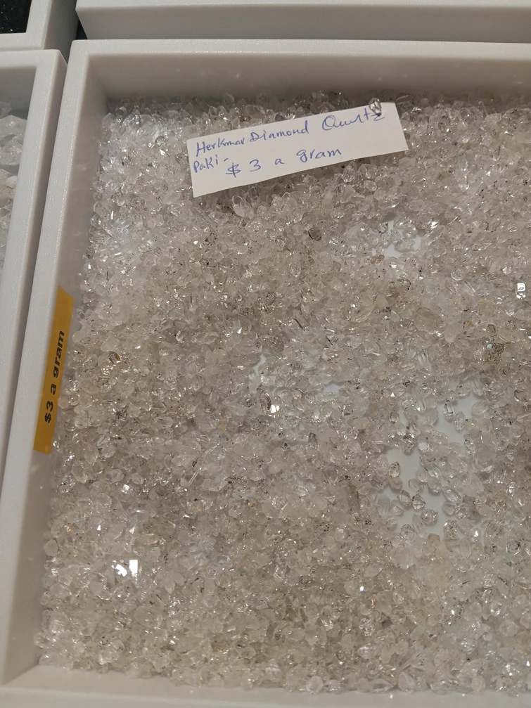 Discuss Everything About Catch! Teenieping Wiki | Fandom