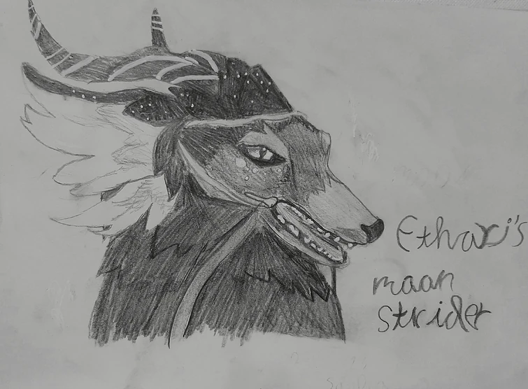 Discuss Everything About The Dragon Prince Wiki | Fandom