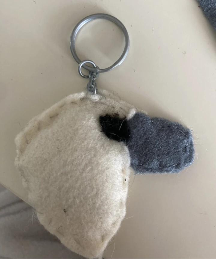 A Retoast of my puffwump keychain | Fandom