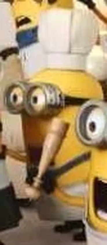 Despicable Me Minion Tournament (#14) | Fandom