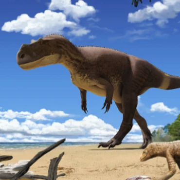 Discuss Everything About Dinopedia | Fandom