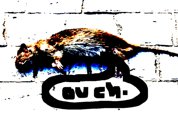 garger just so happens to be my last name 😭 | Fandom