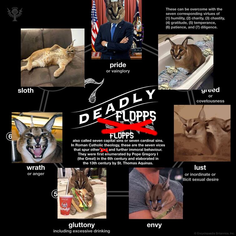 Discuss Everything About Floppapedia Revamped Wiki | Fandom