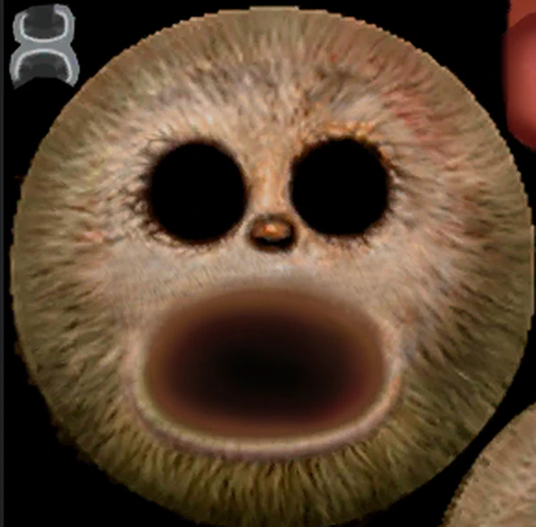 I A M E V E R Y W H E R E . | Fandom