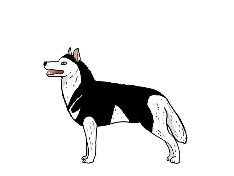 Who are the best artists on this wiki? | Fandom