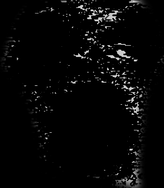 My custom phase | Fandom