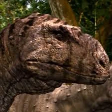 Discuss Everything About Dinopedia | Fandom