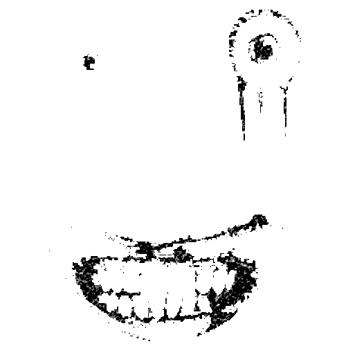 N Section,, | Fandom