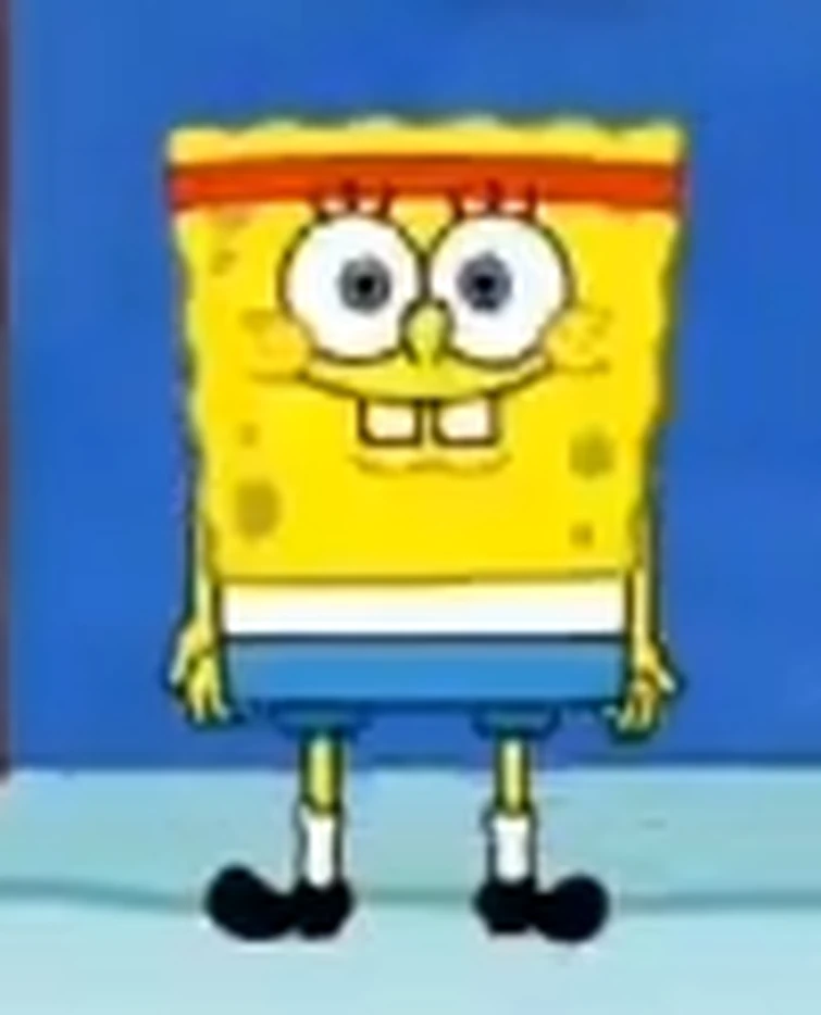 Discuss Everything About The Spongy Construction Project Wiki | Fandom