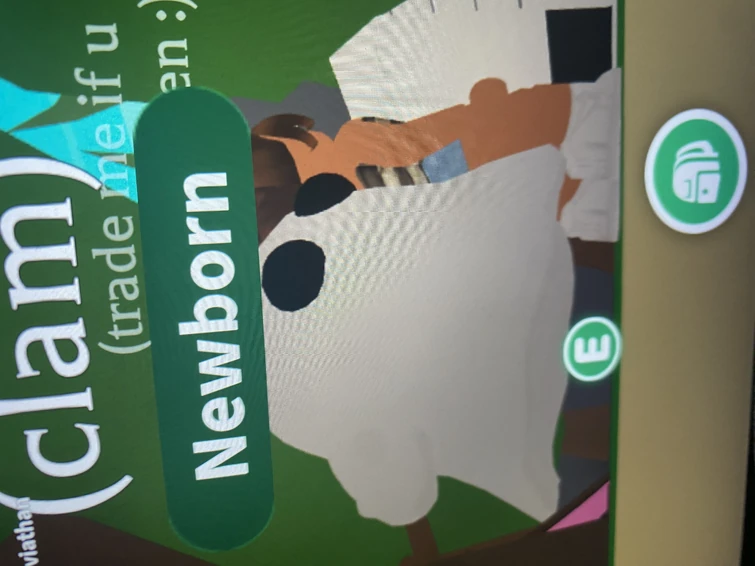 come adopt clam! | Fandom