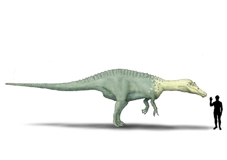 Siamosaurus vs Ichthyovenator | Fandom