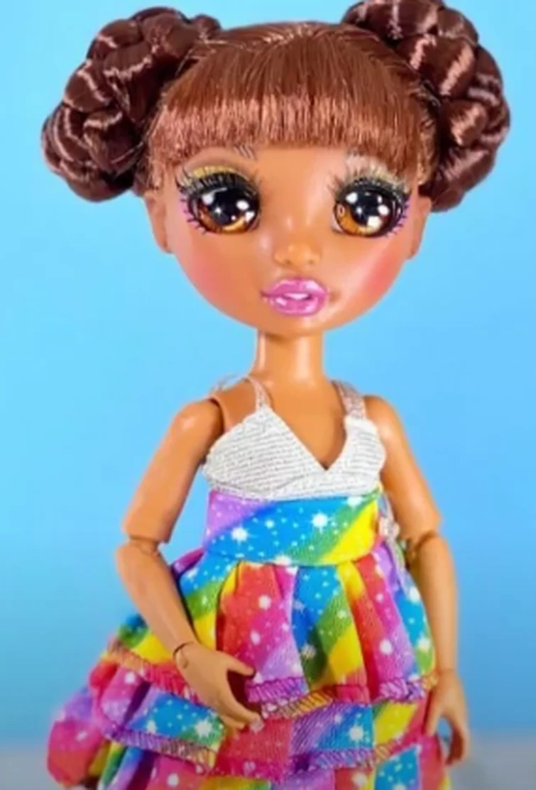 Some custom rainbow high dolls! | Fandom