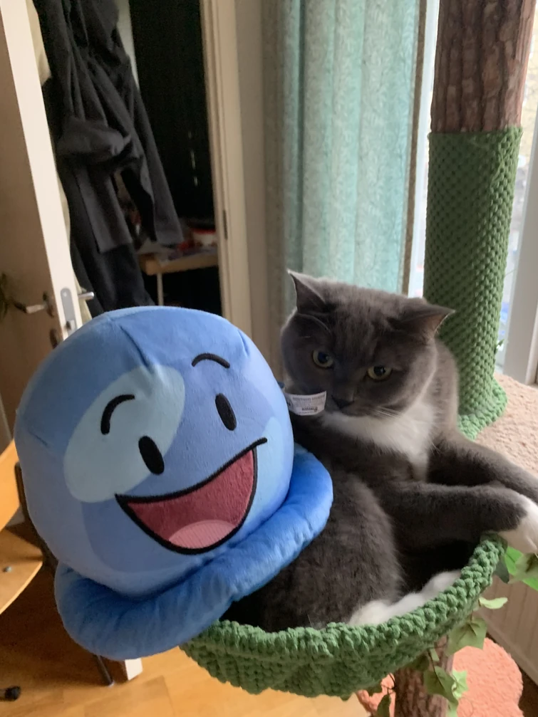 I GOT A GOO PLUSH YIPPEE | Fandom