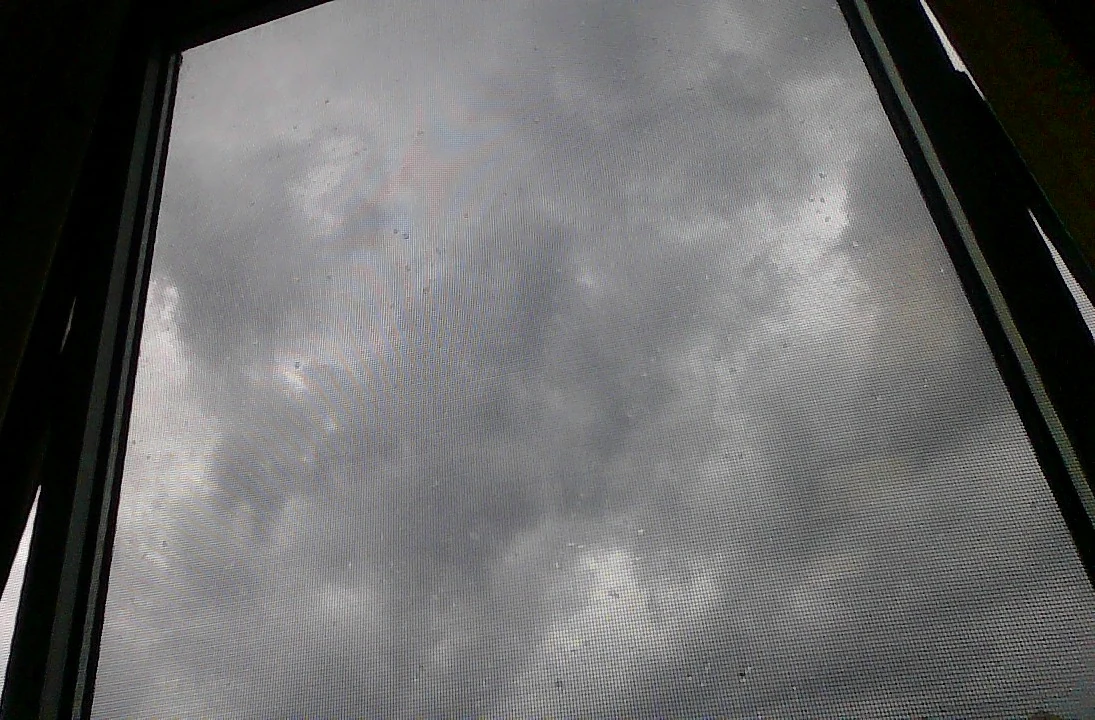 Does anyone else like the smell of rain and this weather? (It looks ...