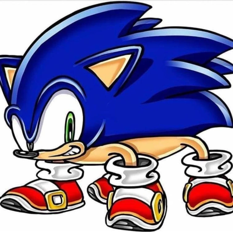 Ah Yes, A Cursed Sonic Image. | Fandom
