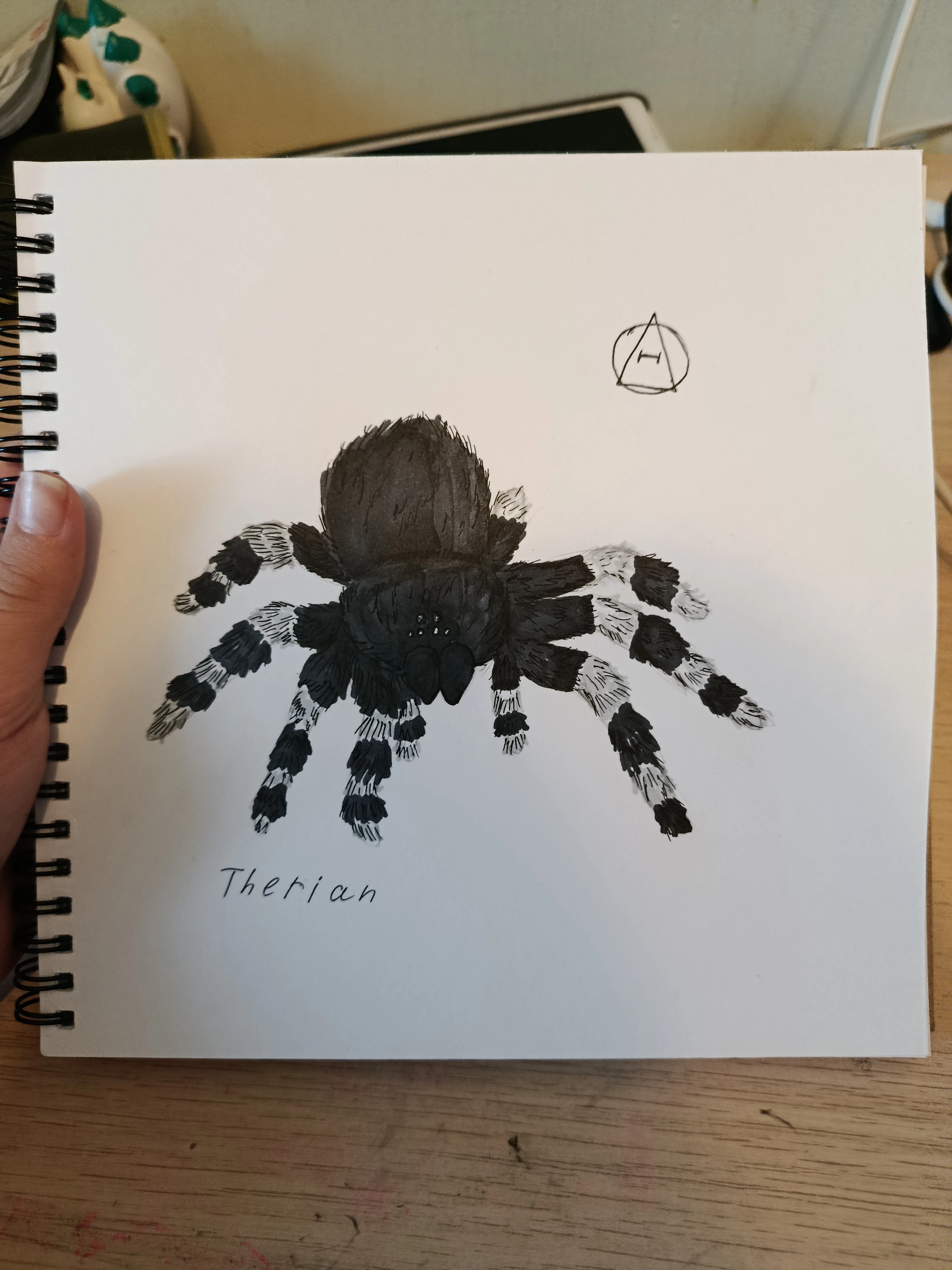 Tarantula! | Fandom