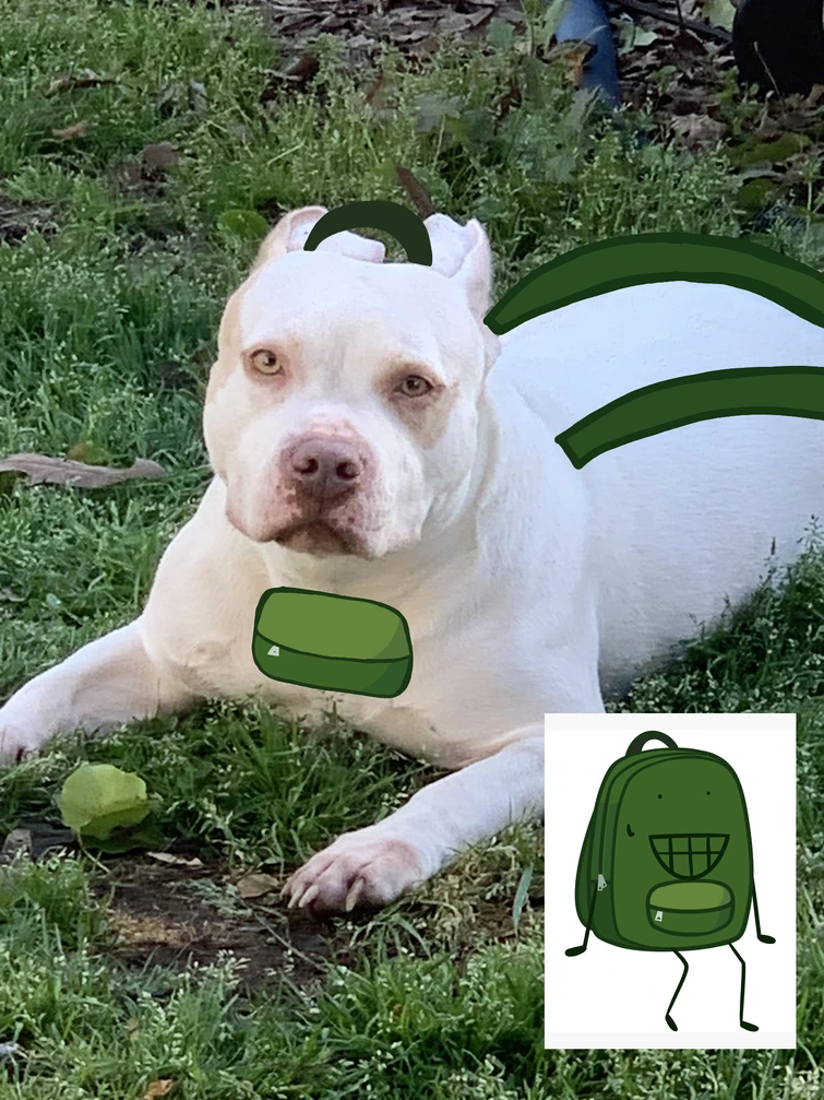 Discuss Everything About ONE Wiki | Fandom