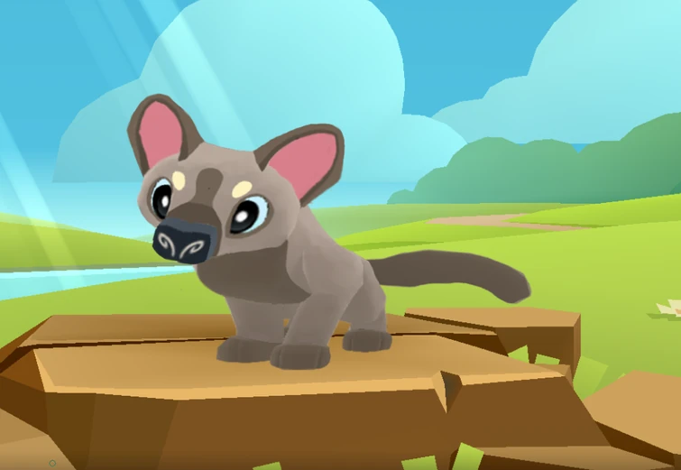 Fossa 🌝🌝🌝 | Fandom