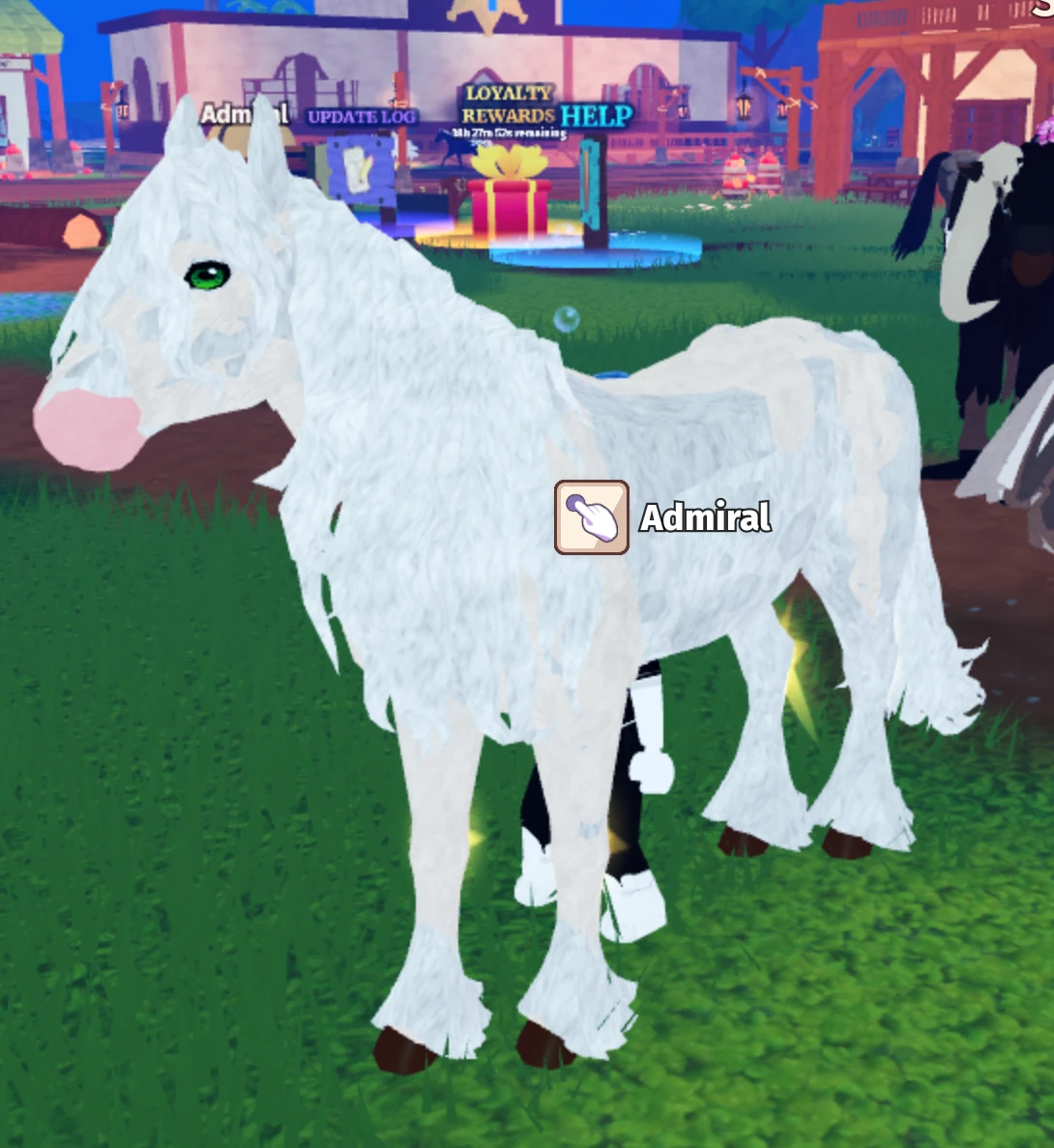 Hi wiki~ Introducing my main horses heheheheheheheh | Fandom