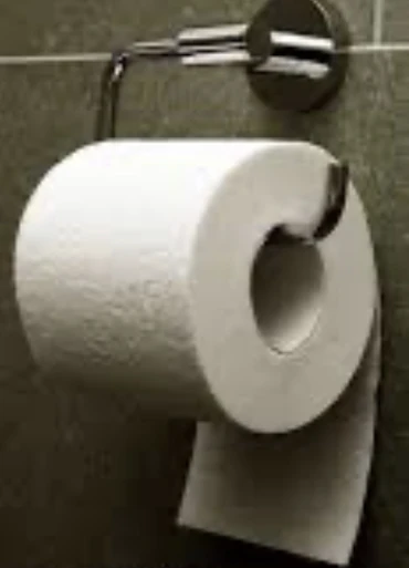 Which way is the correct way to put toilet paper? | Fandom