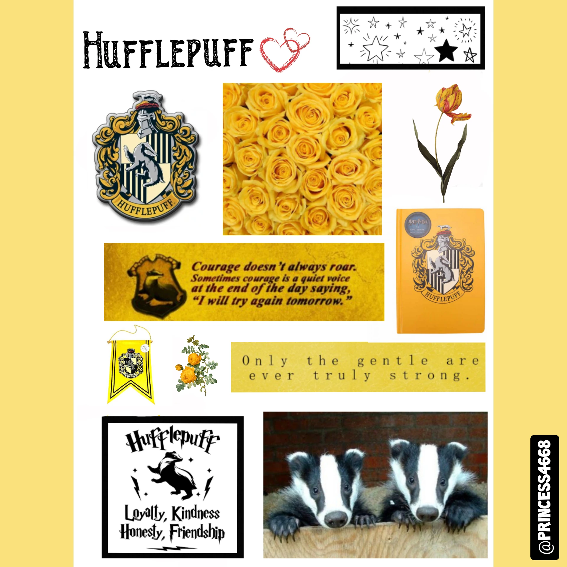 Hufflepuff House Collage! | Fandom