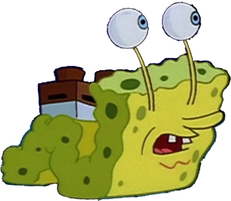 Pants as a snail shell? | Fandom