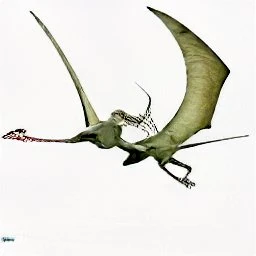 Terrifying Dinosaurs #102: Rhamphorhynchus | Fandom