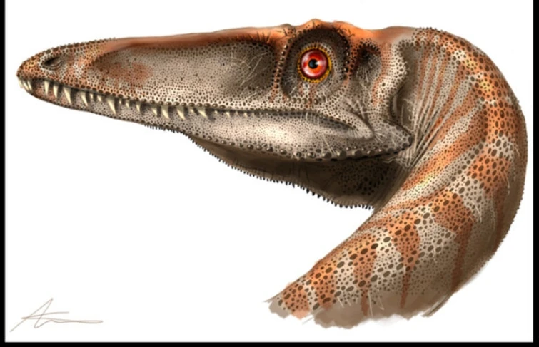 Discuss Everything About Dinopedia | Fandom