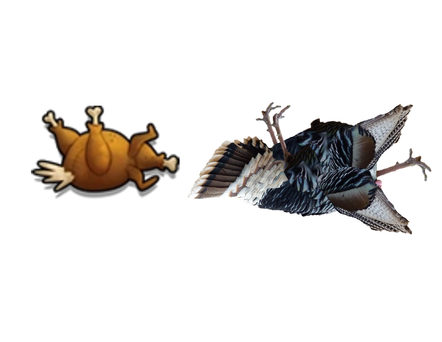 I made MSM Turkey but before it was cooked | Fandom