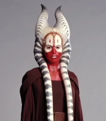 Discuss Everything About Wookieepedia | Fandom