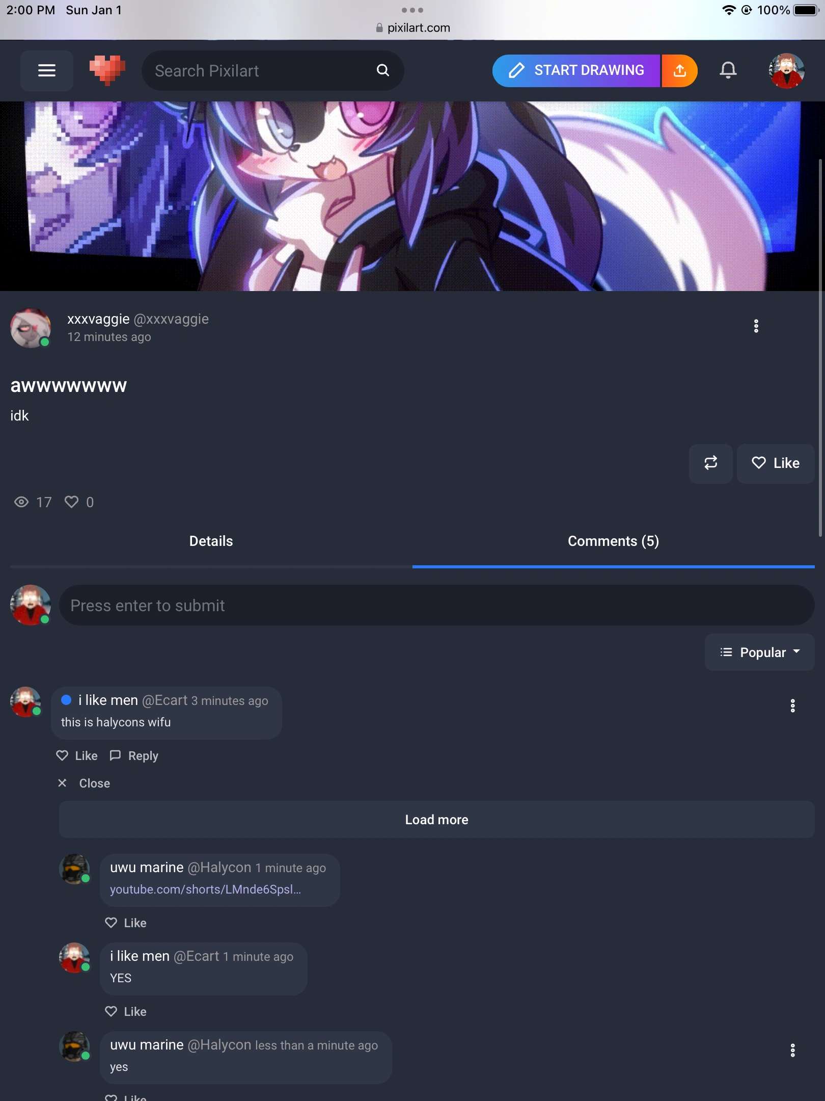 GUYS ROOK HAS FURRY WIFU | Fandom