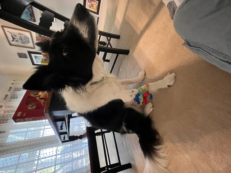 Cutie Patootie Pookie Wookie Snookums My Little Muffin Bae Alpha Wolf ...