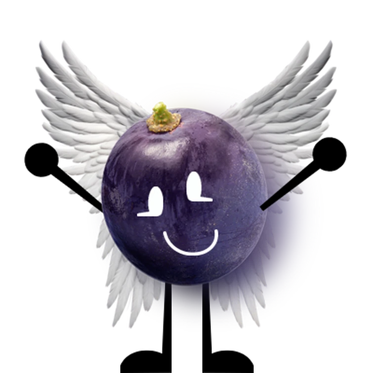 Discuss Everything About Battle for Dream Island Wiki | Fandom