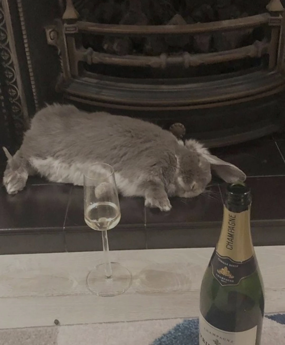 I'm home now | Fandom