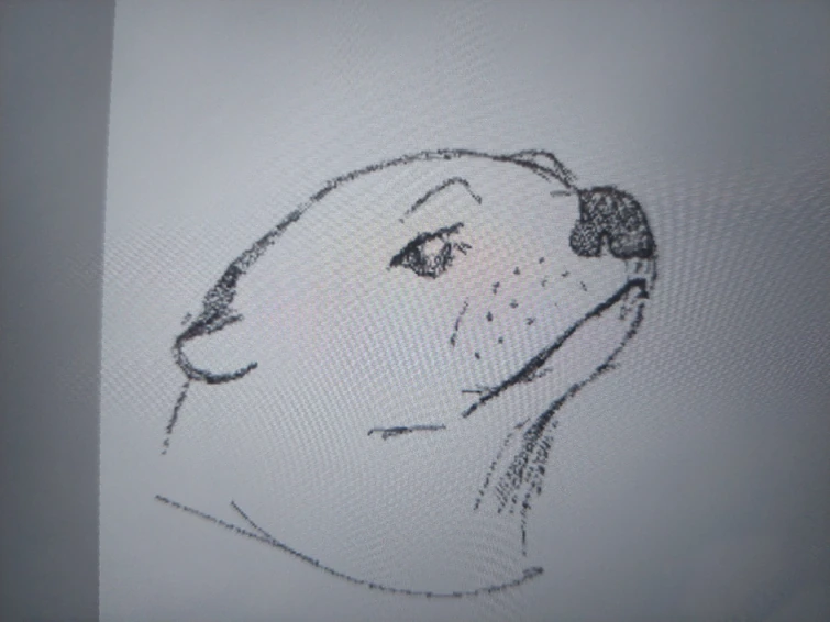 Drawing someone's favorite animal or Theriotype | Fandom