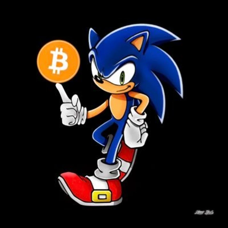 Do you think Sonic characters know what Bitcoin is | Fandom