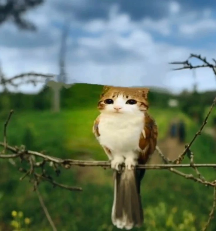 looking through acids posts yesterday was magical | Fandom