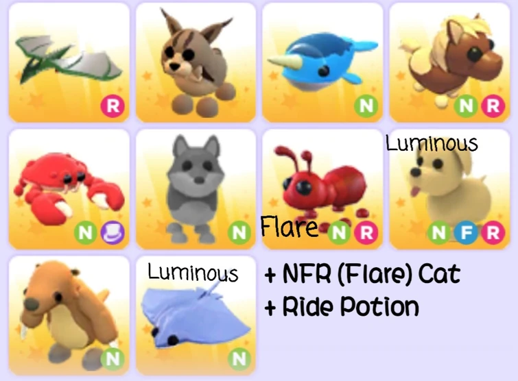 Looking for: neon Leopard Cats, neon Koi Carps, neon Amami Rabbits, and ...