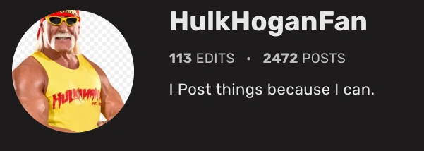 Banned or not banned, What is your least favorite user on any fandom ...